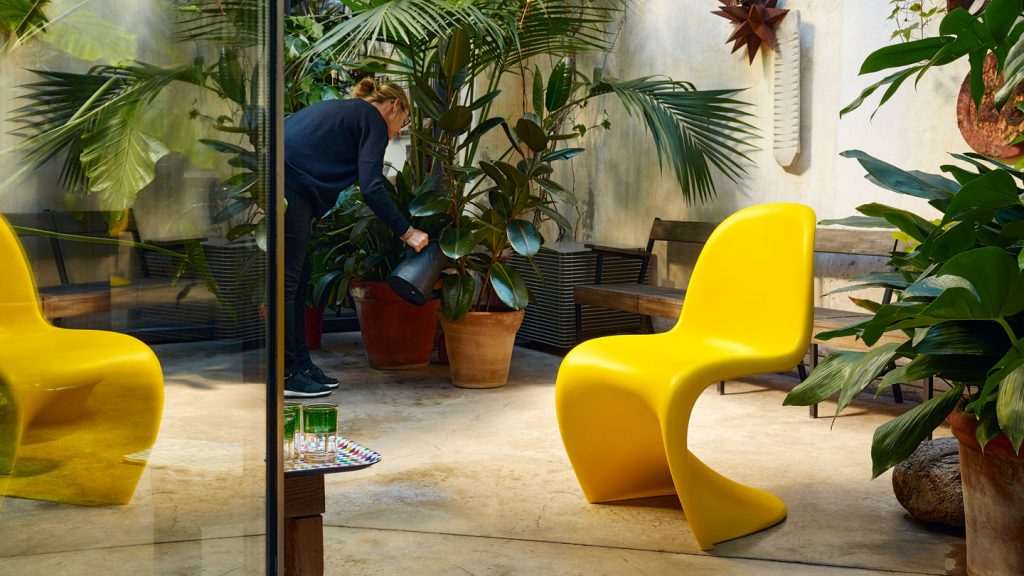 Mellow yellow: sunny shades for every space and garden