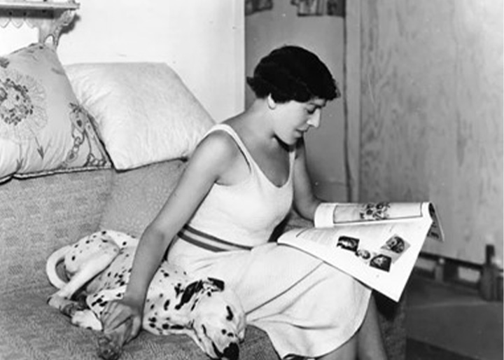 Dodie Smith: Heal’s toy buyer, novelist and Dalmatian devotee - Heal's Blog